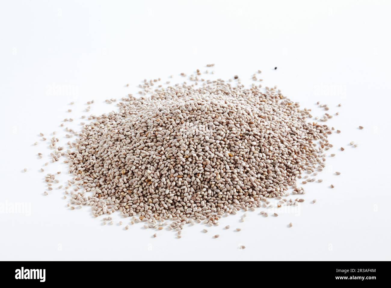 White chia seeds Stock Photo - Alamy