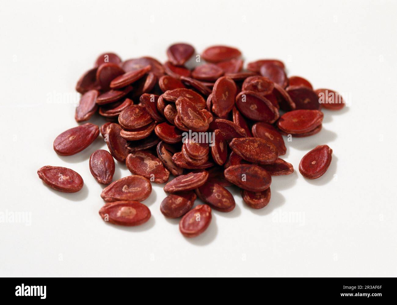 Dried red unpeeled melon seeds Stock Photo - Alamy