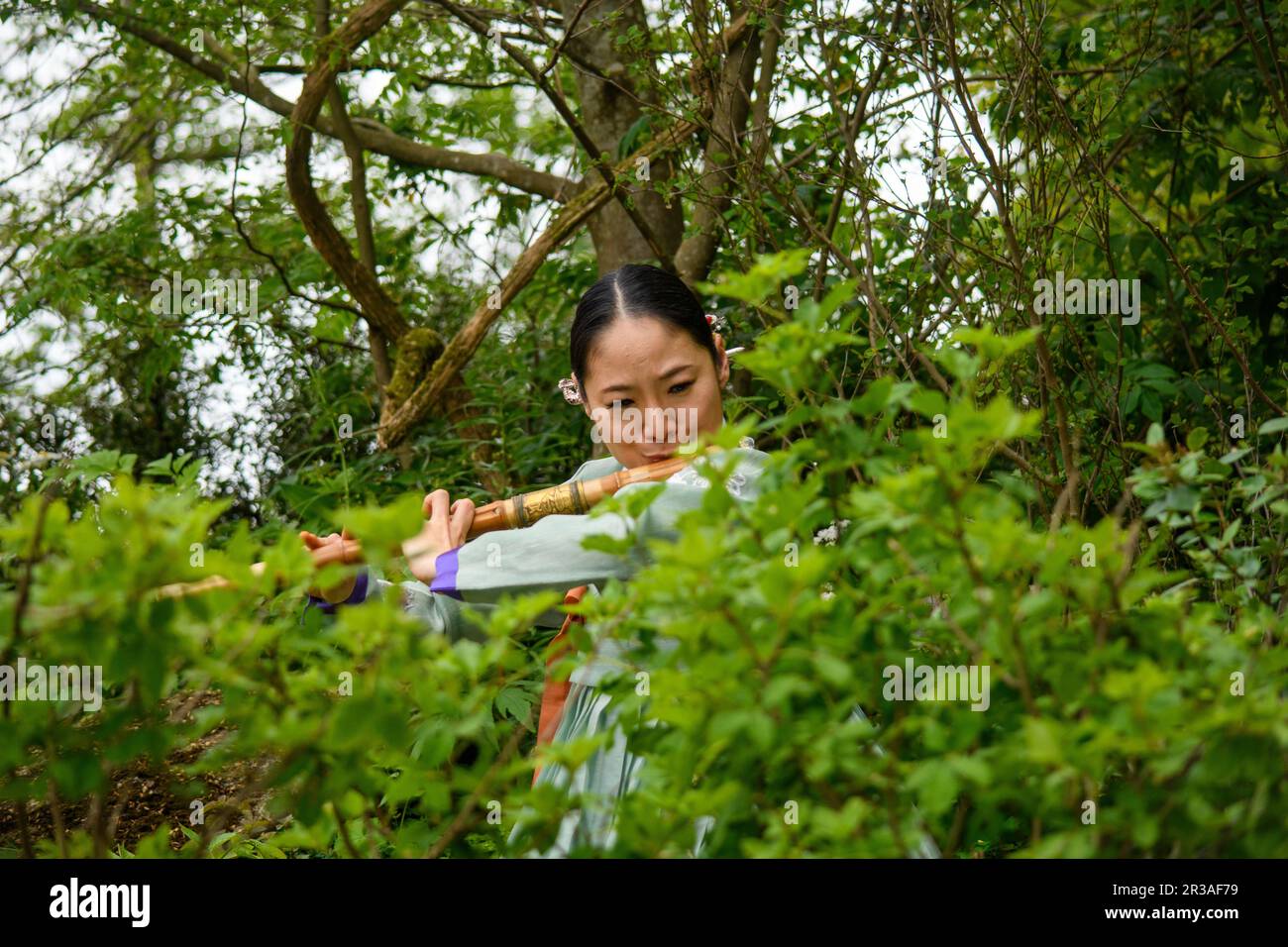 London, UK, 22nd May 2023, Chelsea Flower Show begins on 23rd May 2023. The theme this year is ...