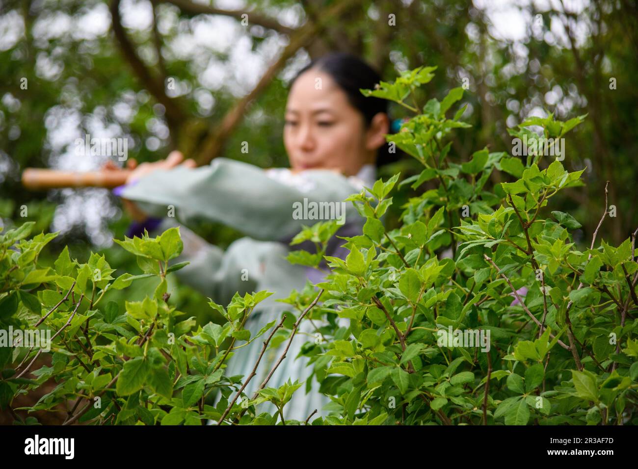 London, UK, 22nd May 2023, Chelsea Flower Show begins on 23rd May 2023 ...