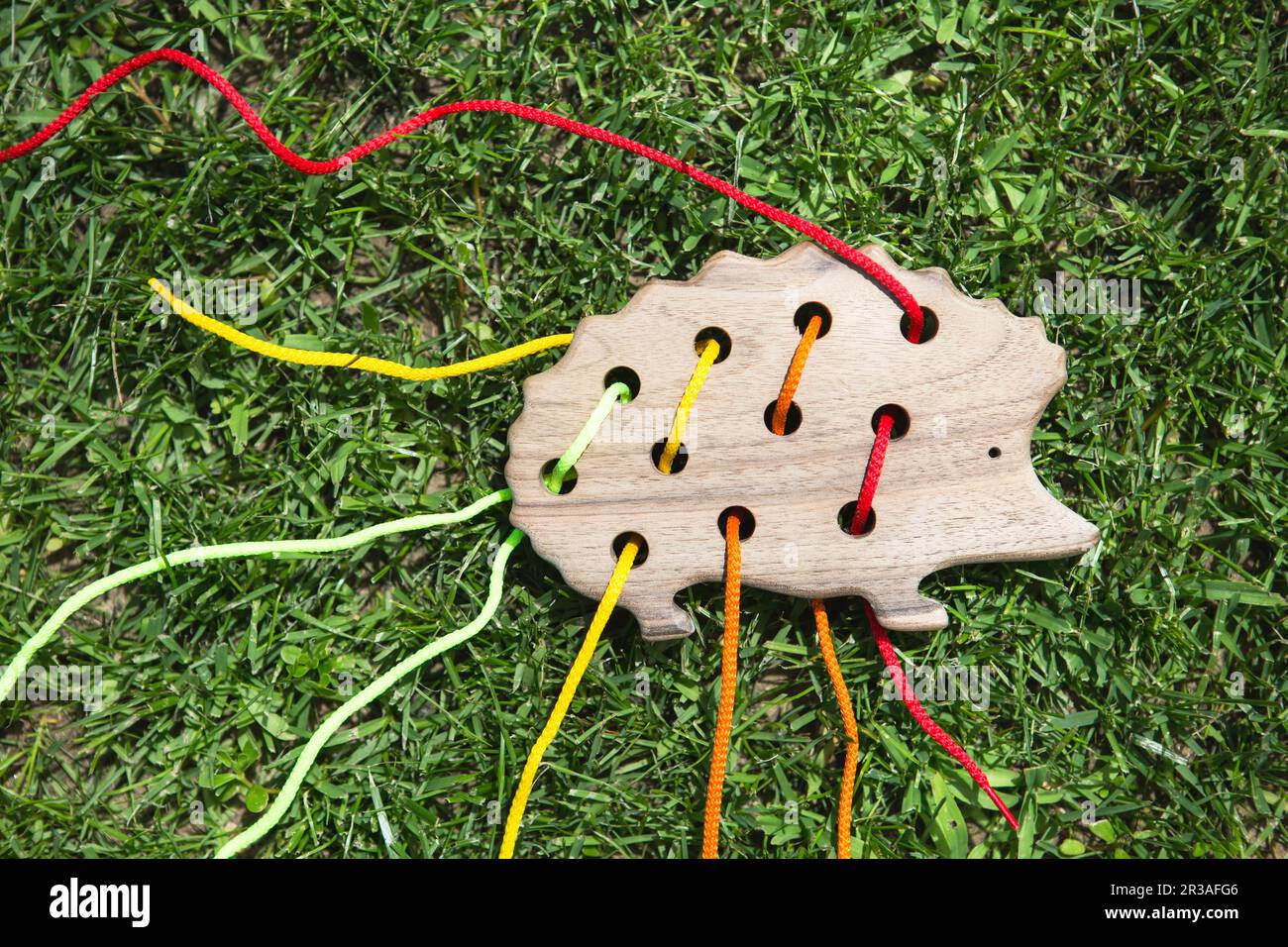 Natural wooden lacing toy hedgehog for educating fine motor skills ...