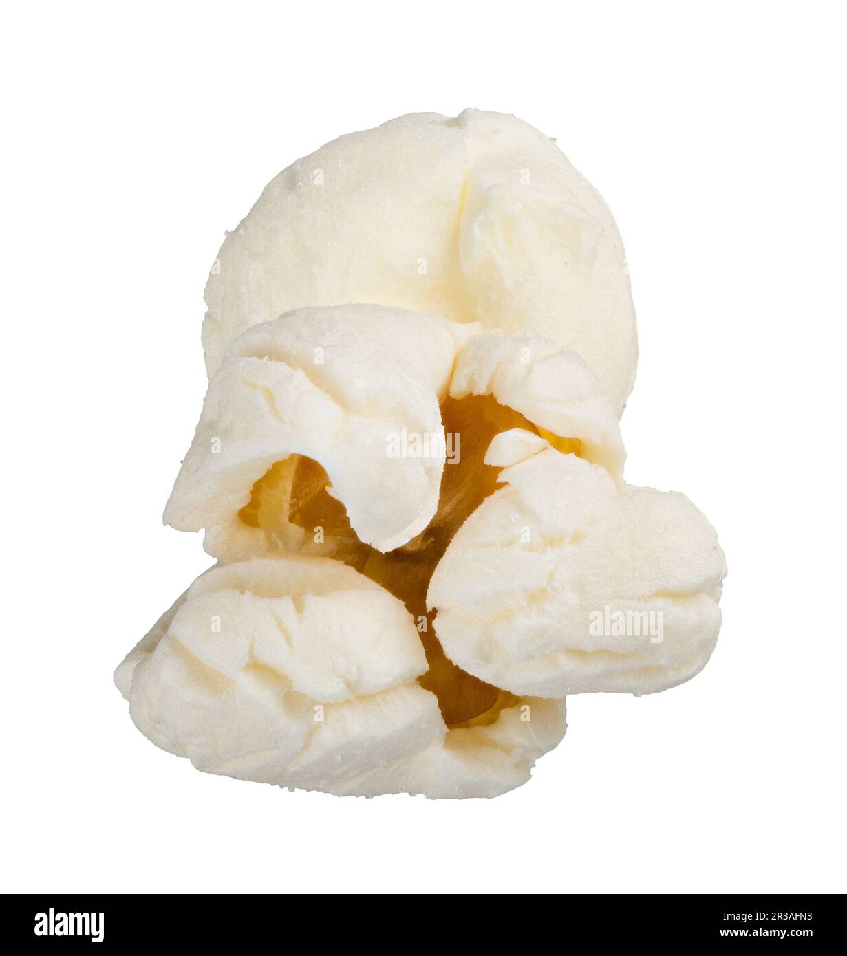 Single popcorn seed, macro shot isolated on white background Stock ...