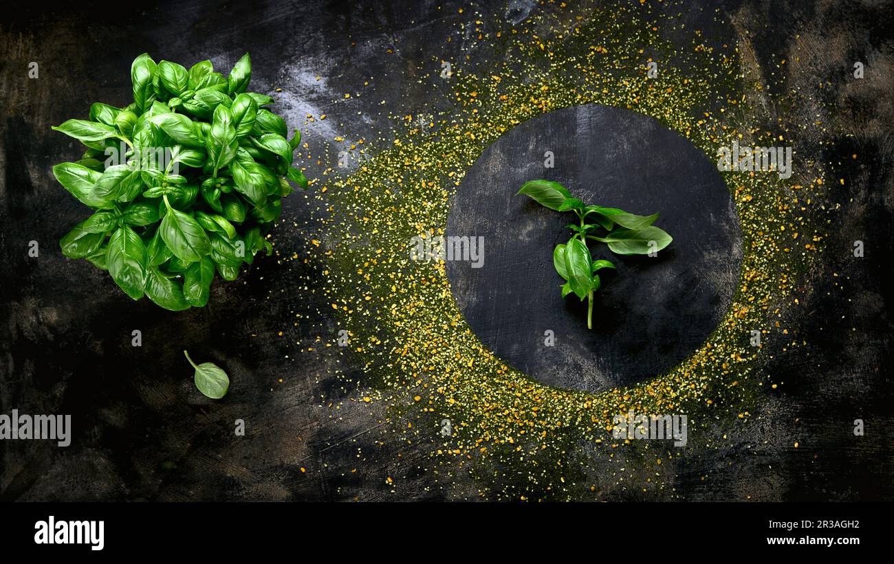 Basil, top view Stock Photo - Alamy