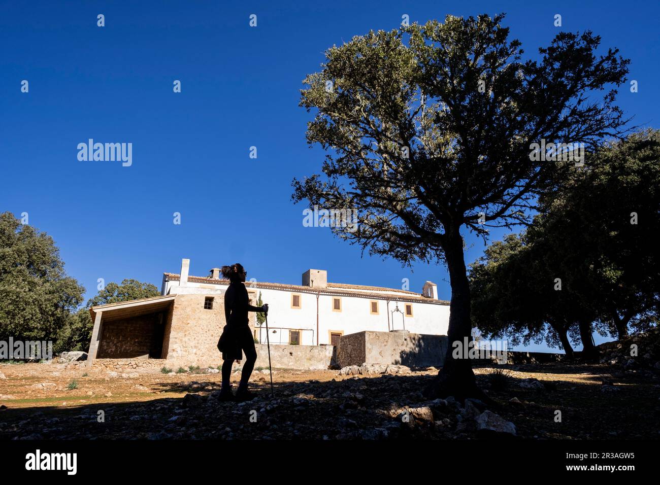 Bosque historico hi-res stock photography and images - Alamy