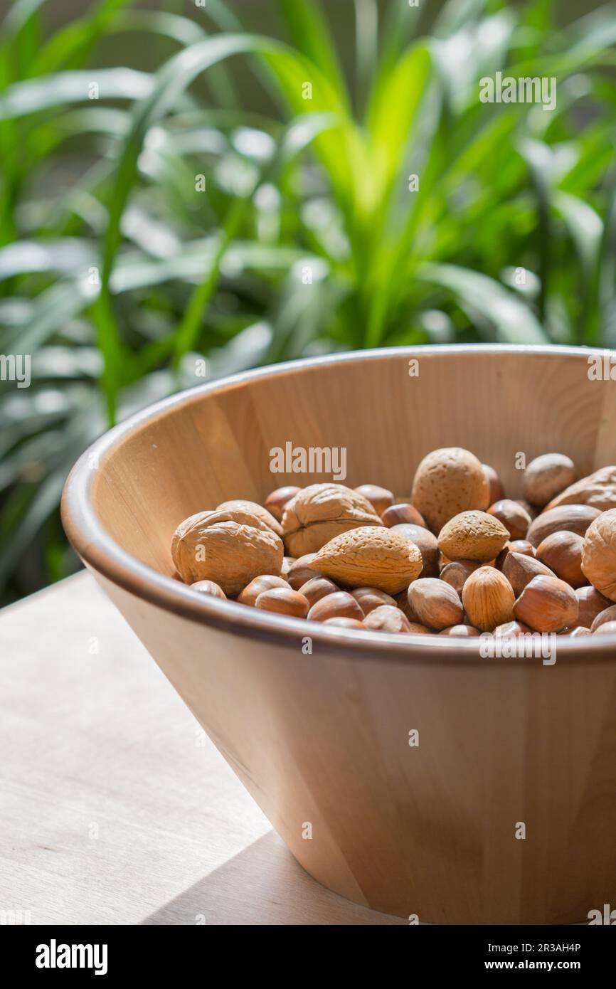 Assorted various nuts in a big wooden bowl against a leafy green ...