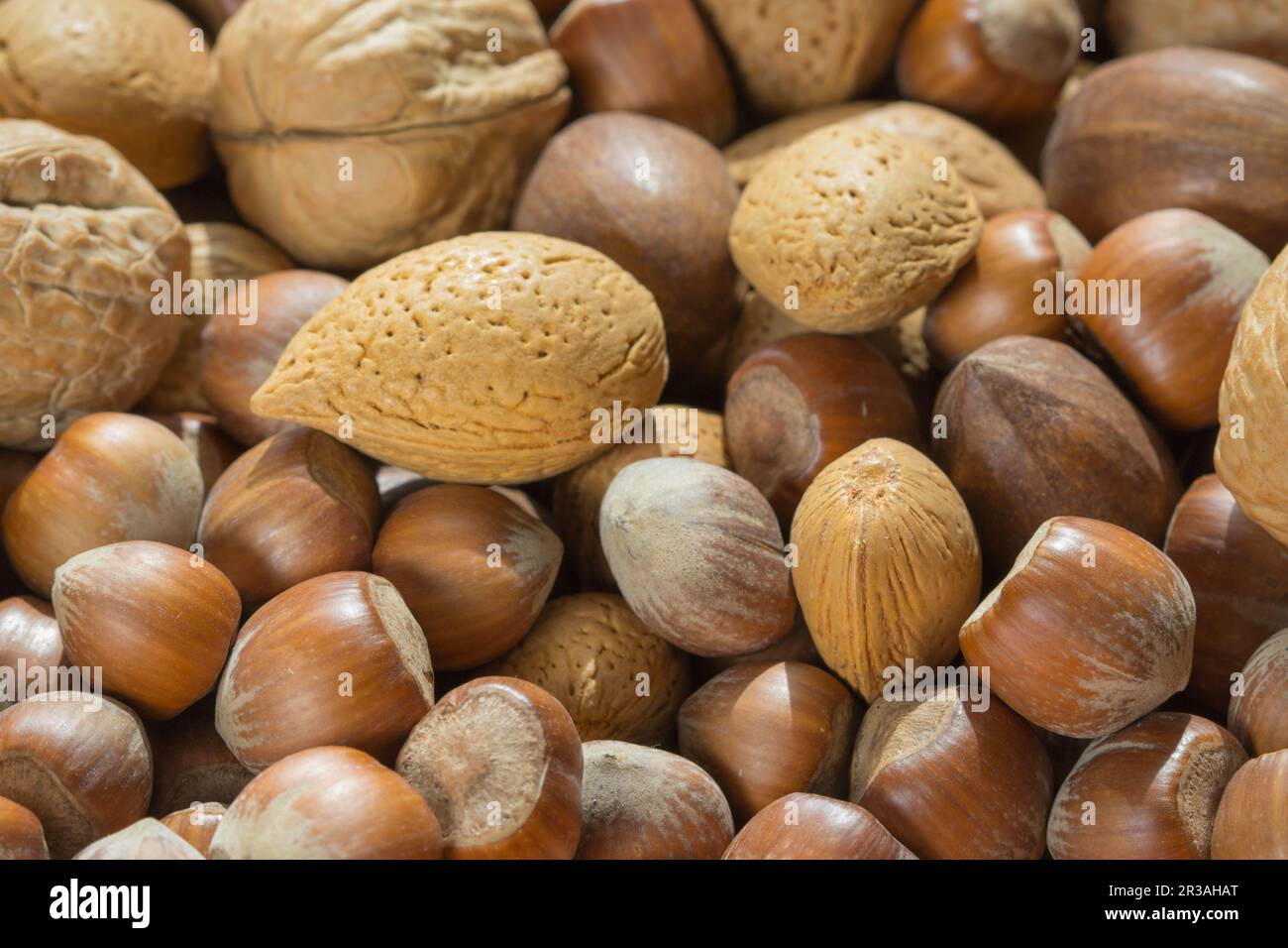 Assorted mix of different nuts in shells Stock Photo - Alamy
