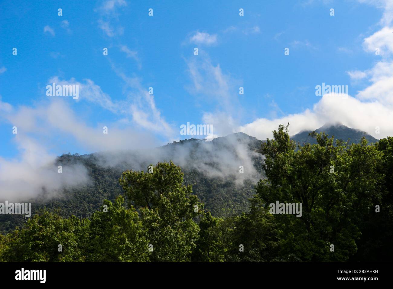 Hainan sanya rainforest travel to the sea hi-res stock photography and ...