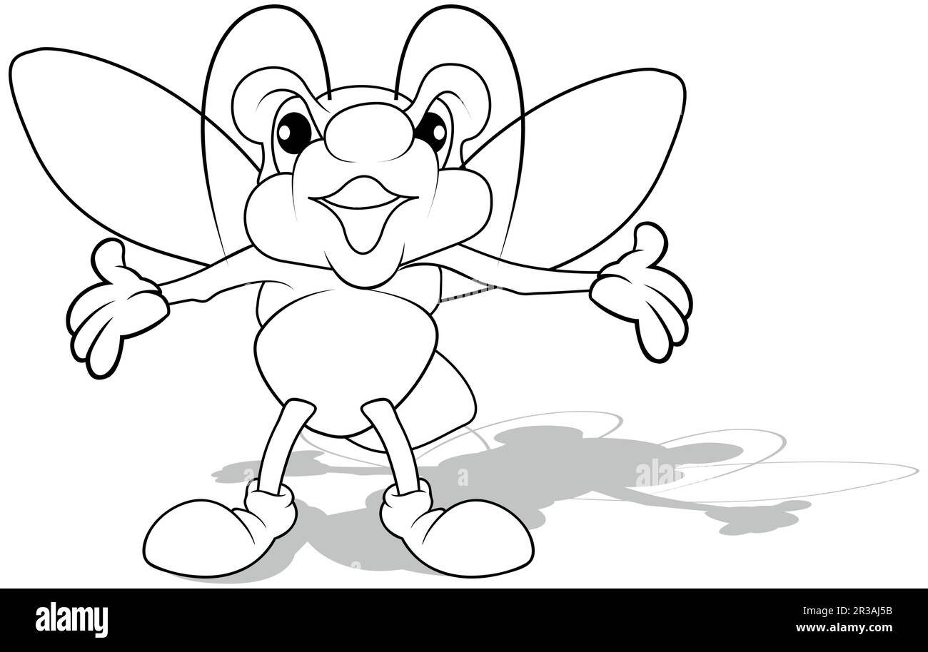 Drawing of a Beetle with Open Arms Stock Vector Image & Art - Alamy