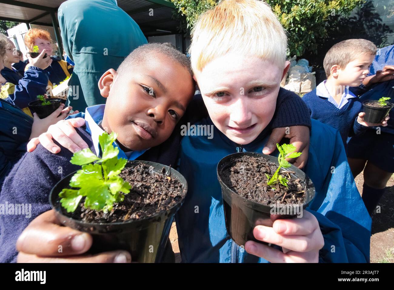 School children learning about agriculture and farming Stock Photo - Alamy