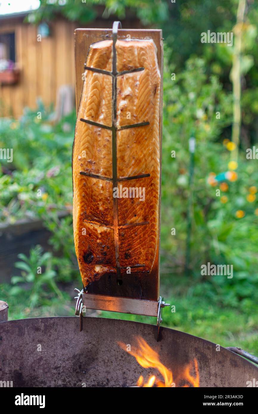 Flame cooked salmon by a fire Stock Photo - Alamy