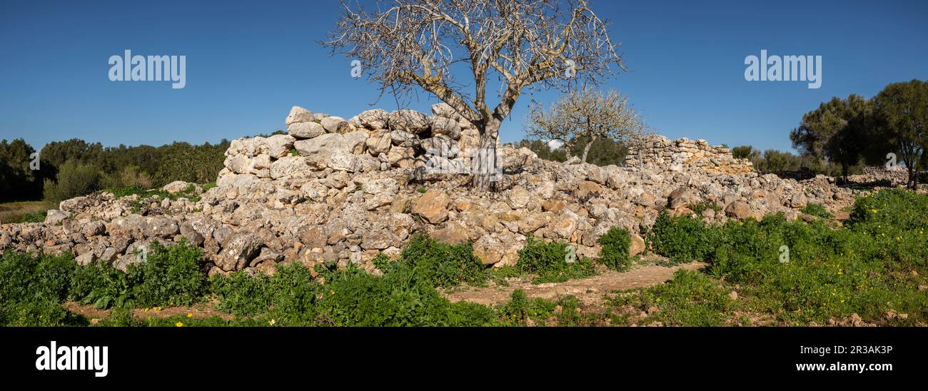 Principios de color hi-res stock photography and images - Alamy