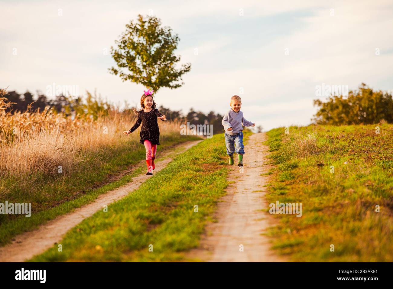 Fun races for kids on the country road Stock Photo - Alamy