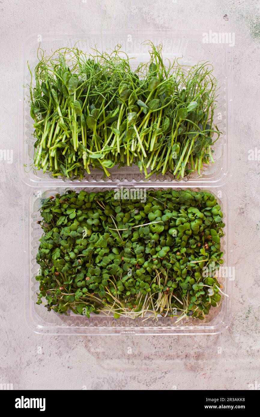 Microgreens background hi-res stock photography and images - Alamy
