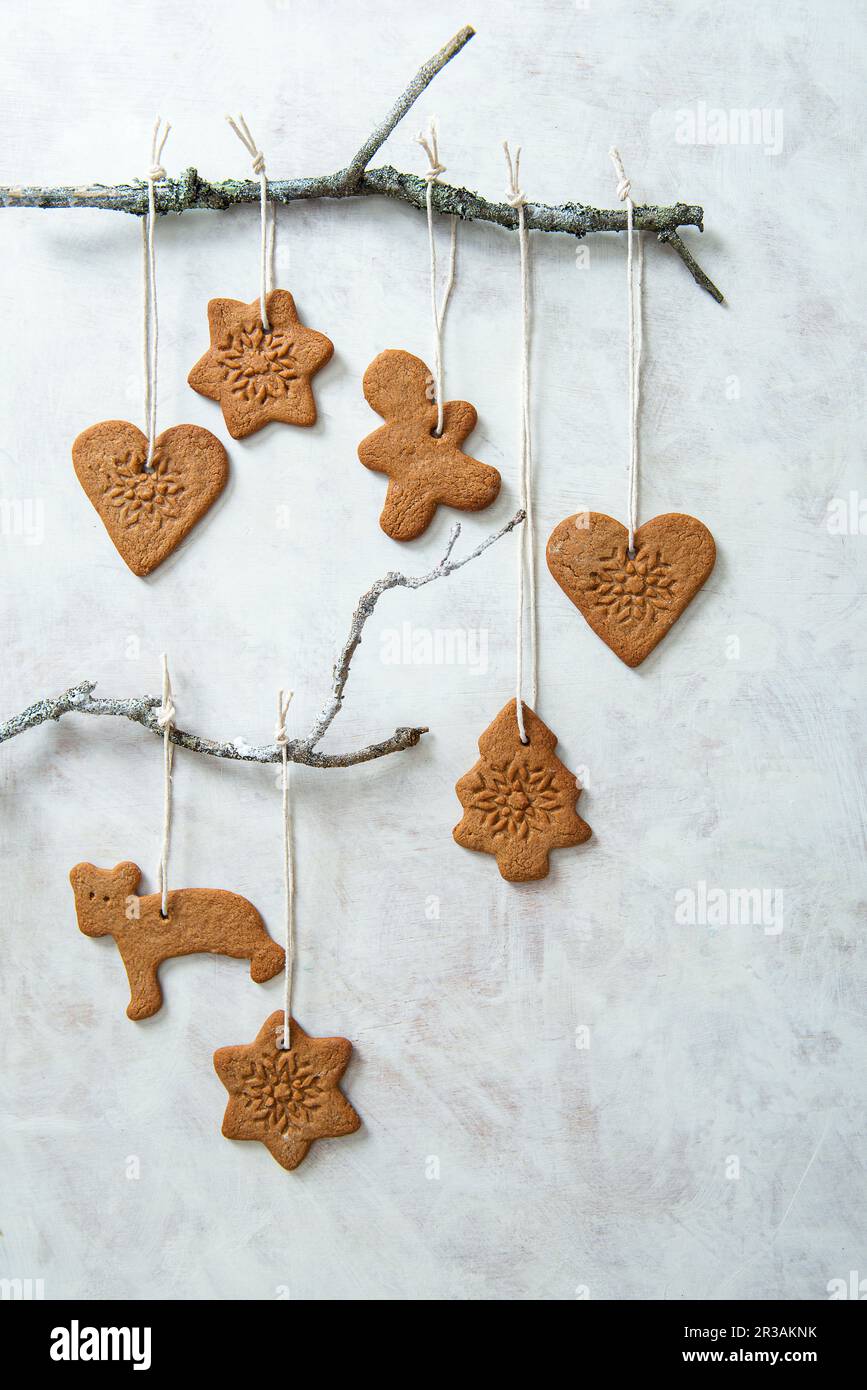 Christmas ginger bread biscuits as a tree decoration Stock Photo - Alamy