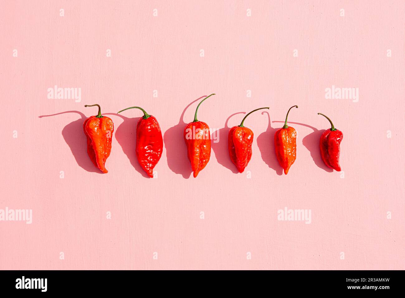 Six fresh red chilli peppers on a pink surface Stock Photo - Alamy