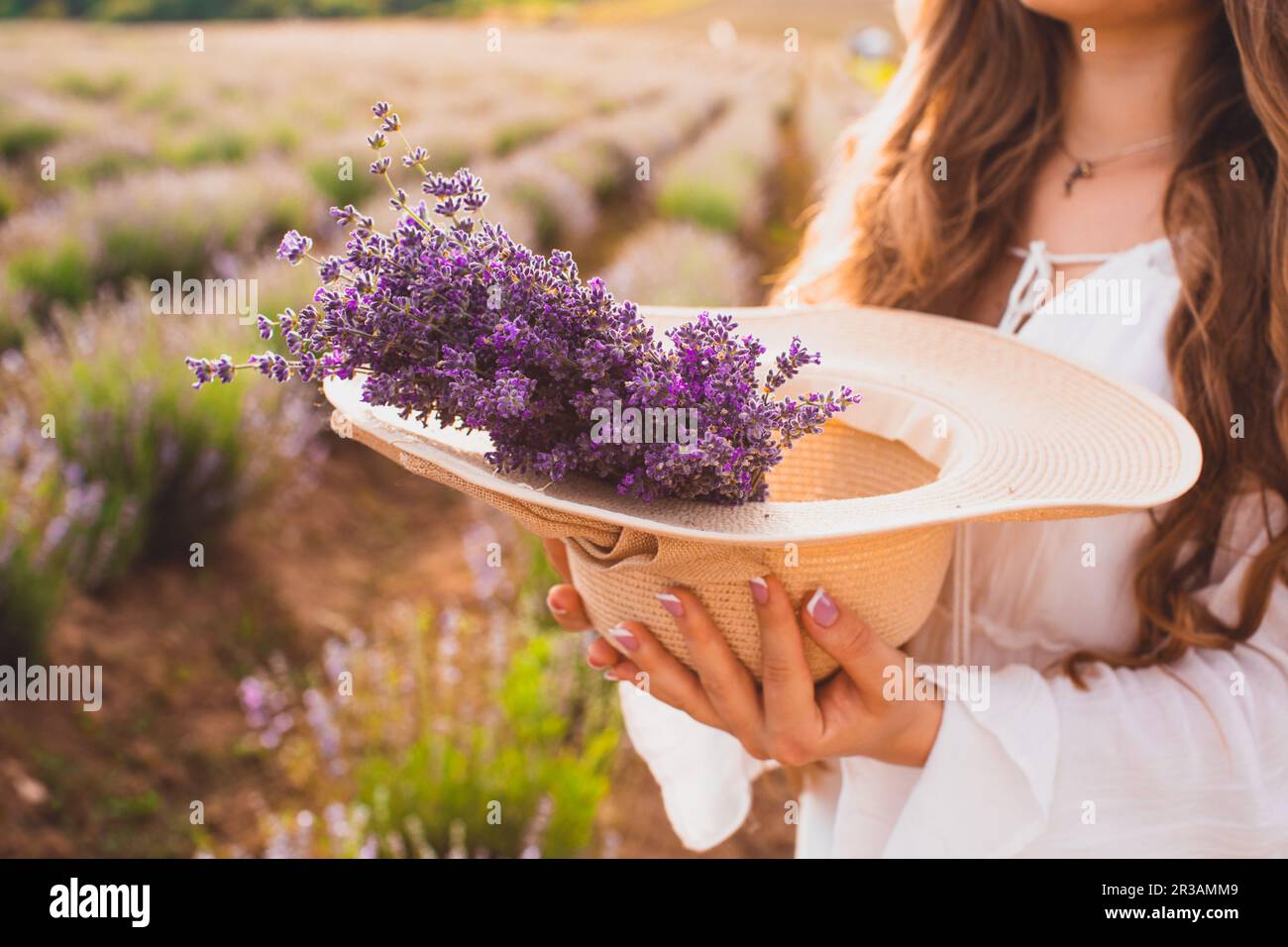 Beautiful lavender bouquet hi-res stock photography and images - Alamy