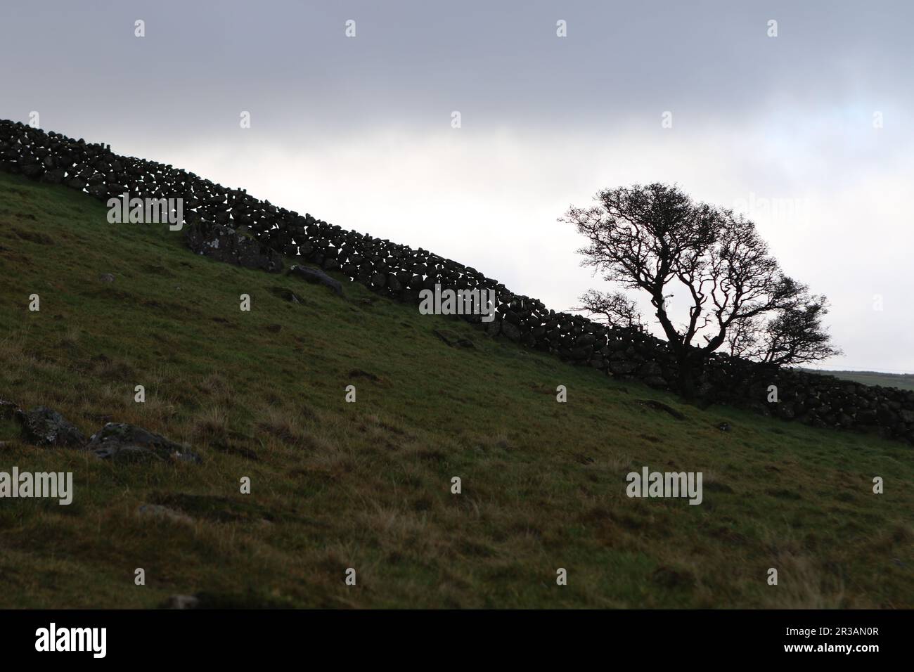 A dry stone wall seen silhouetted against the sky in Northern Ireland ...