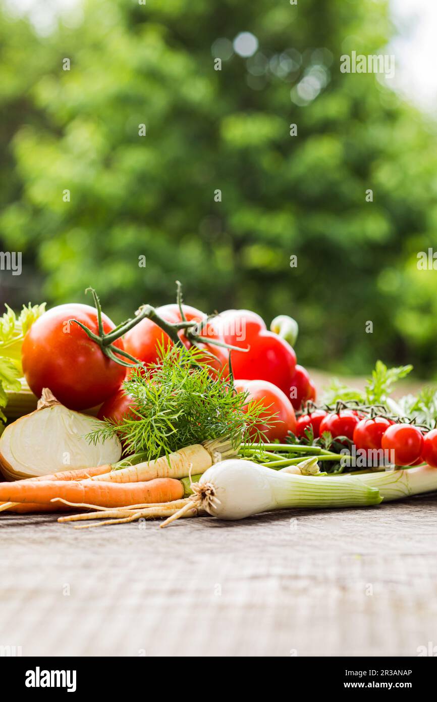 Still life organic farm vegetables outdoors in summer Stock Photo - Alamy