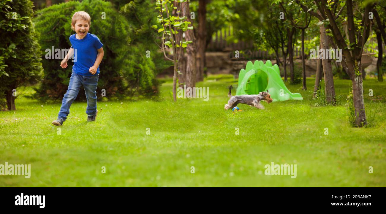 The little boy is actively resting with his favorite dog Stock Photo ...
