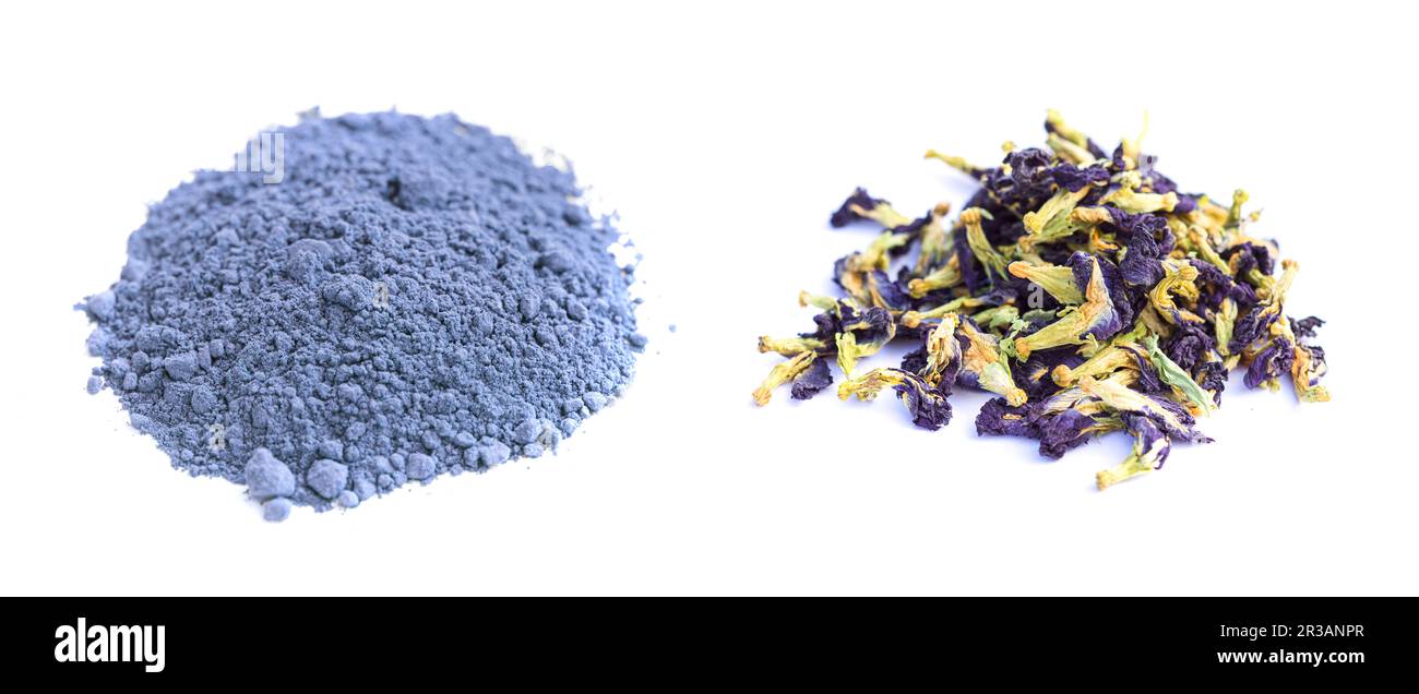 Powder blue butterfly Cut Out Stock Images & Pictures - Alamy