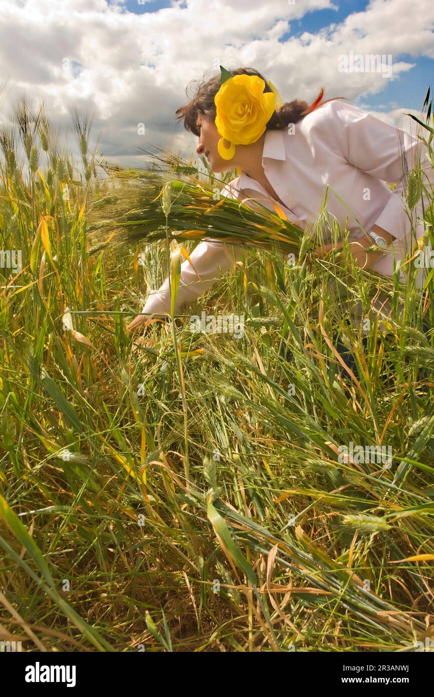 Woman with ears of corn hi-res stock photography and images - Alamy