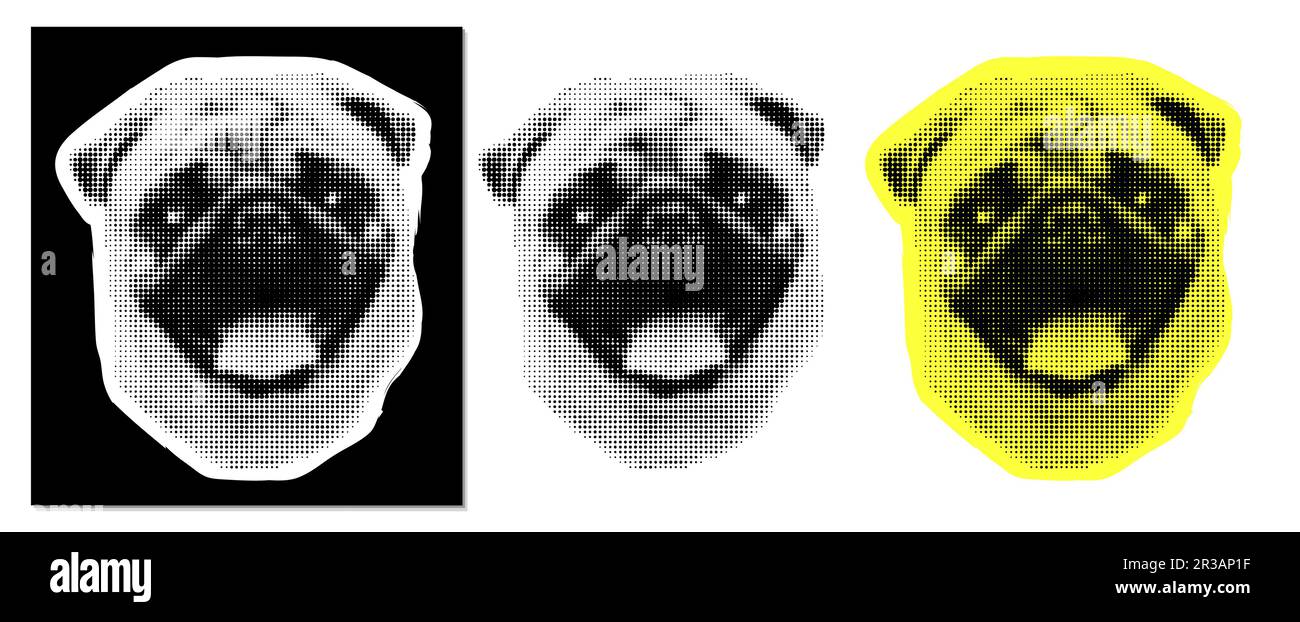 pug breed.Cut out of a newspaper dog. Cut out for collage. Scrapbook ...