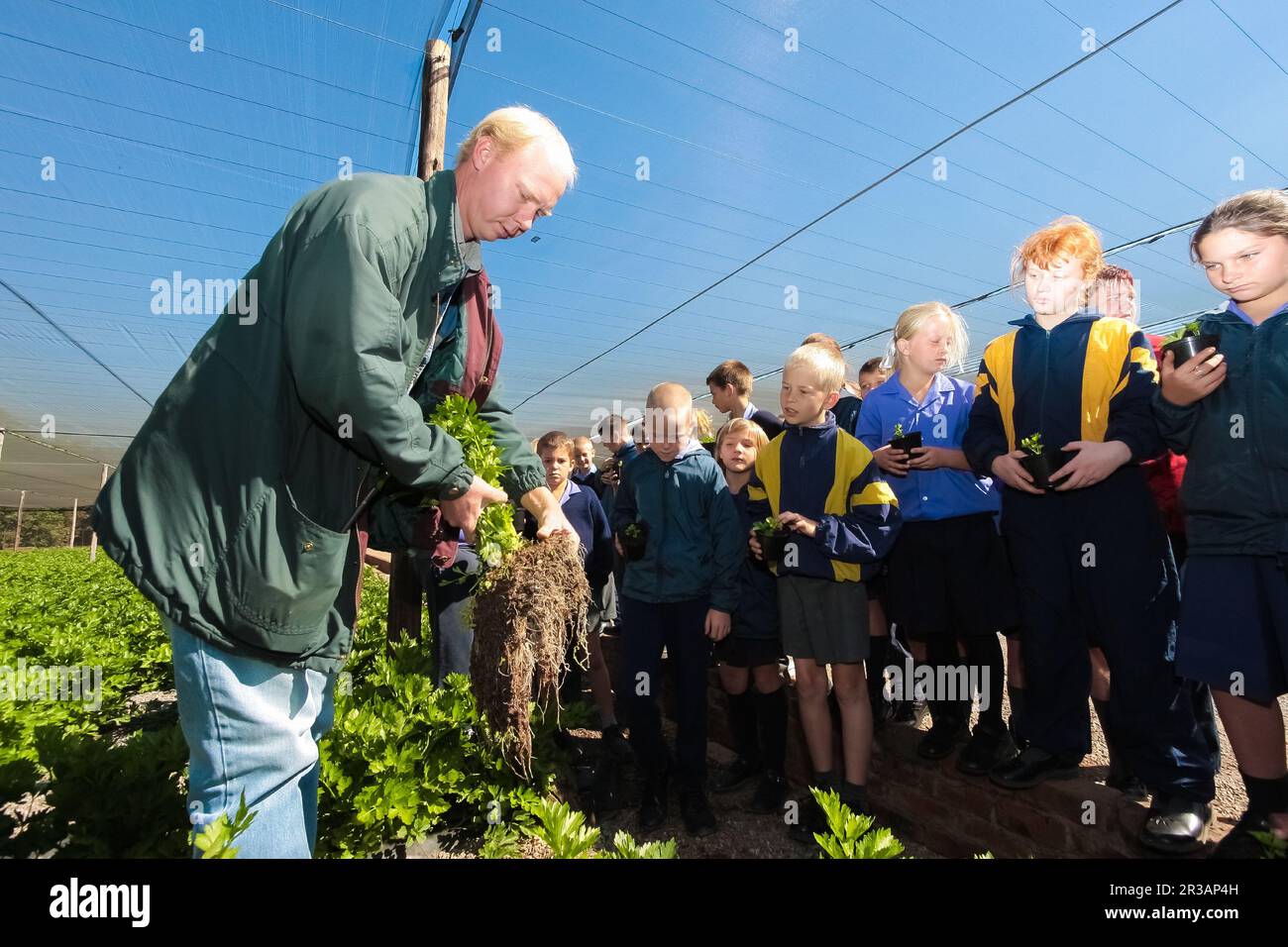 School children learning about agriculture and farming Stock Photo - Alamy