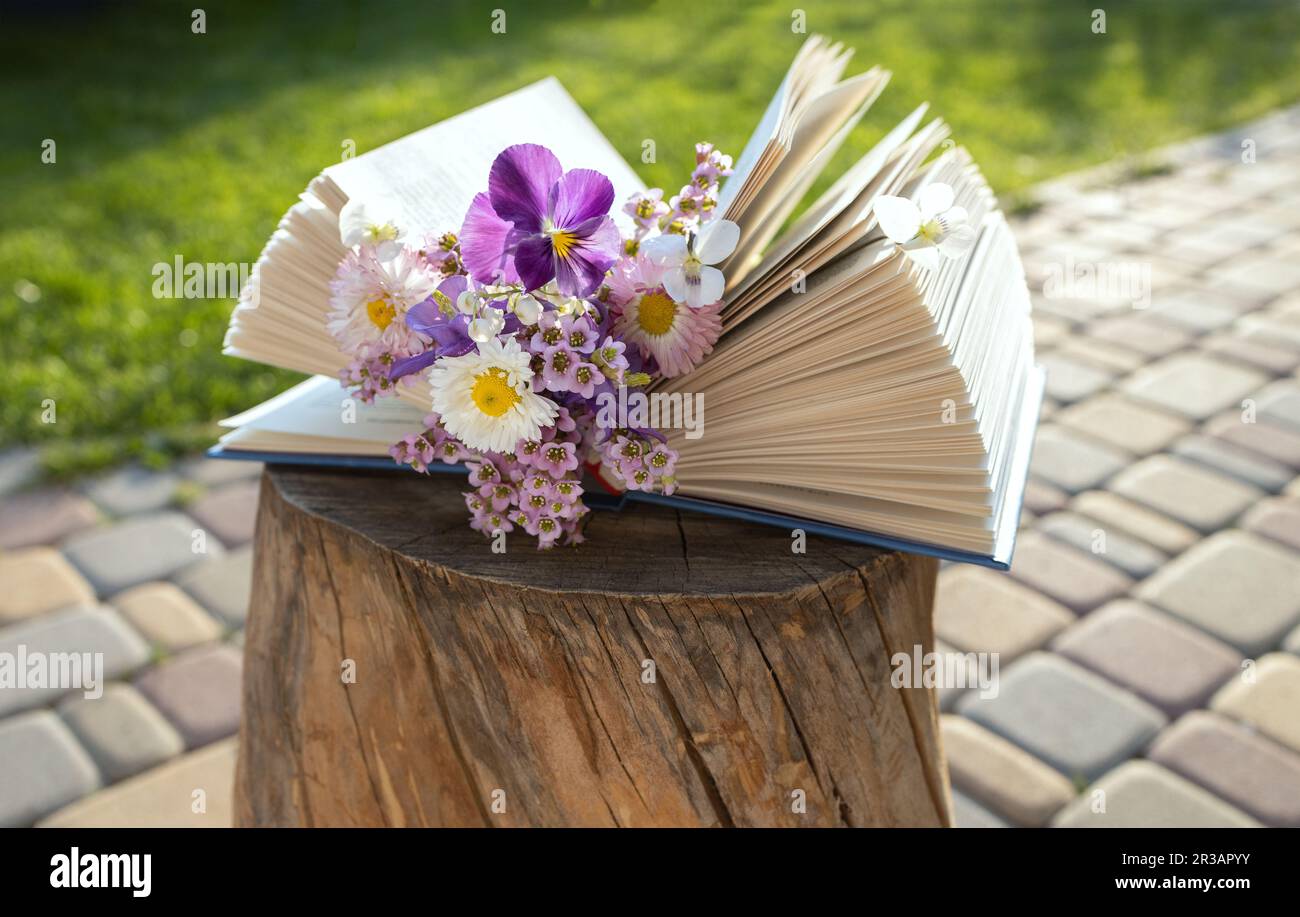 open book lies on a stump, between the pages there are beautiful ...