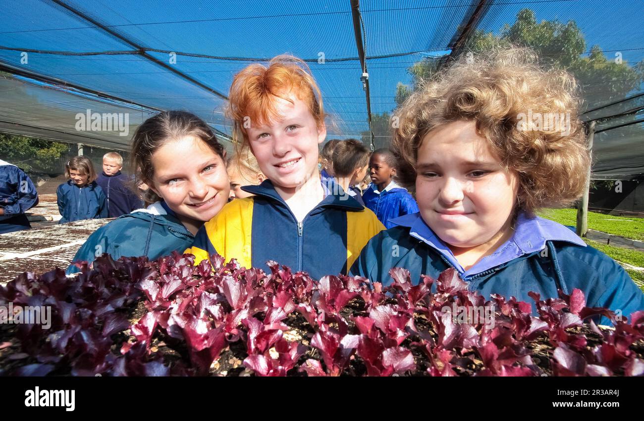 School children learning about agriculture and farming Stock Photo - Alamy