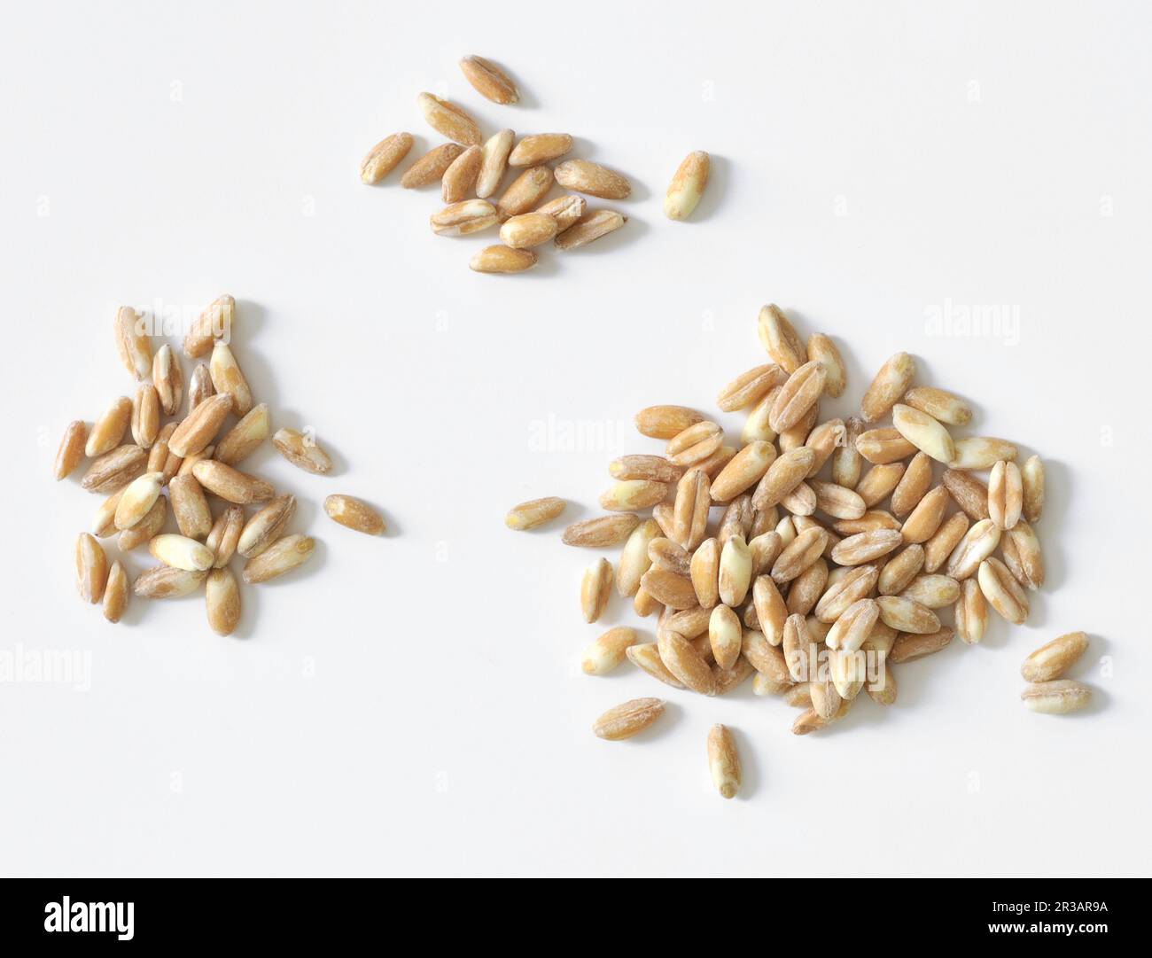 Spelled spelt out hi-res stock photography and images - Alamy