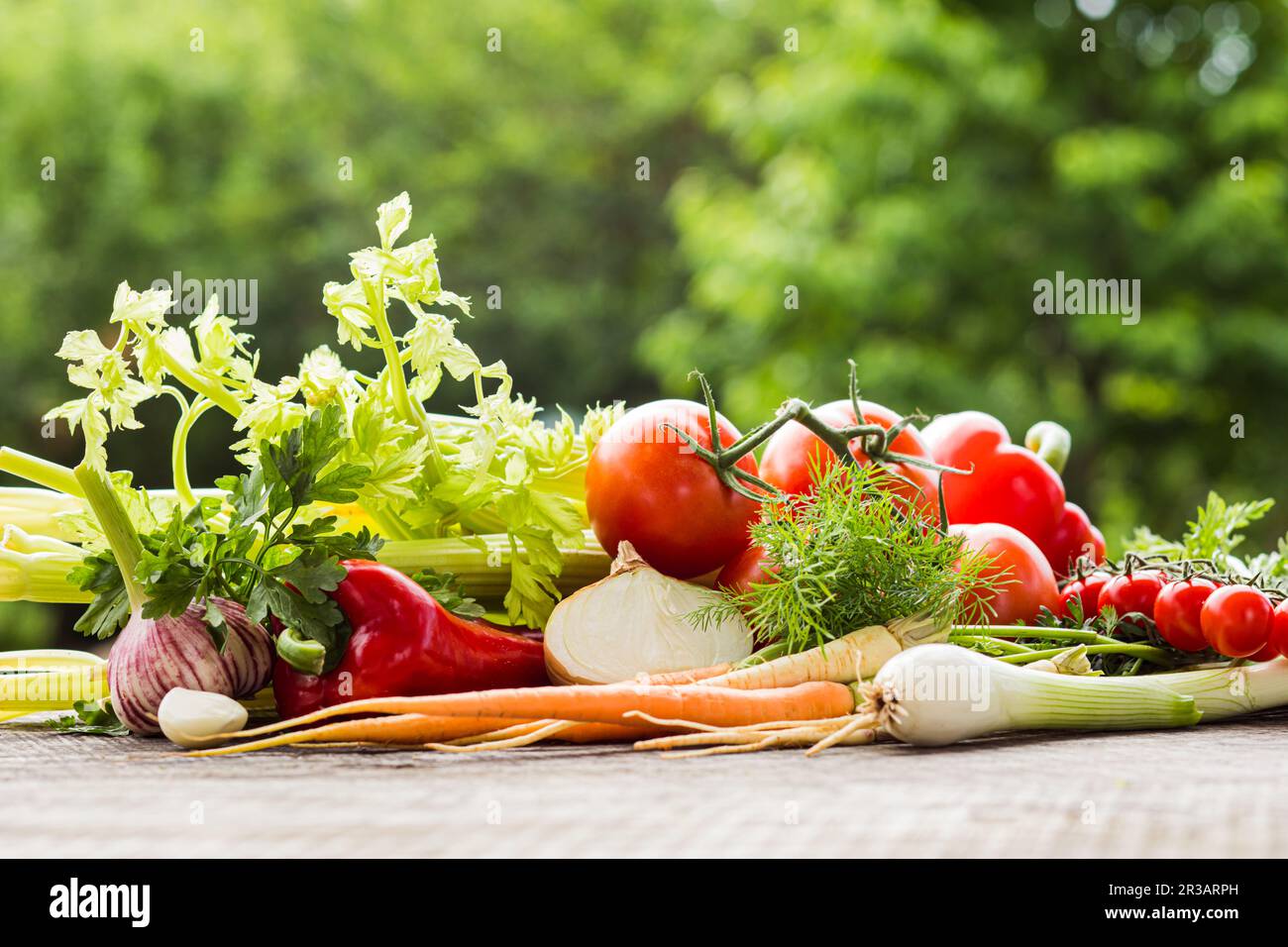 Summer vegetable gathering hi-res stock photography and images - Alamy