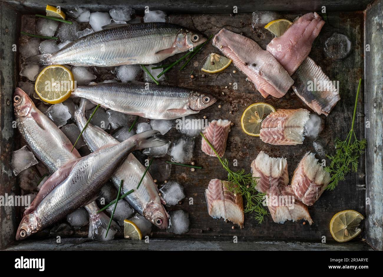 Pan of ice water hi-res stock photography and images - Alamy
