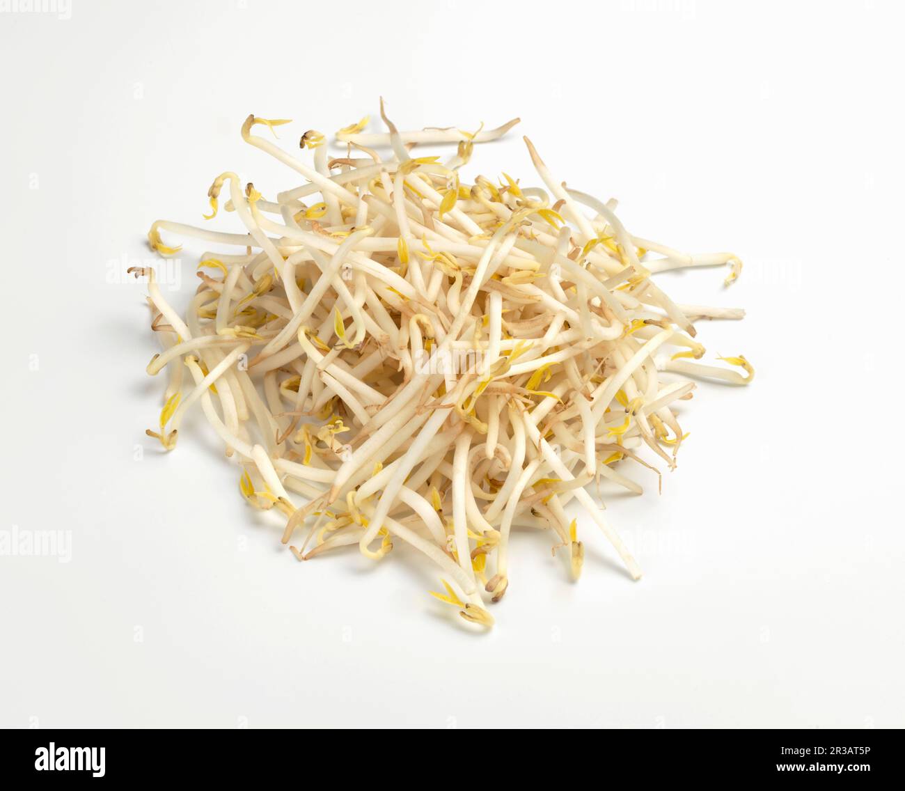 Fresh soya sprouts Stock Photo - Alamy