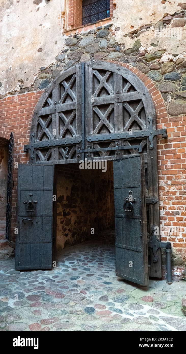 Old Gate Door. Front View of the Door. Door With Huge Nails and ...