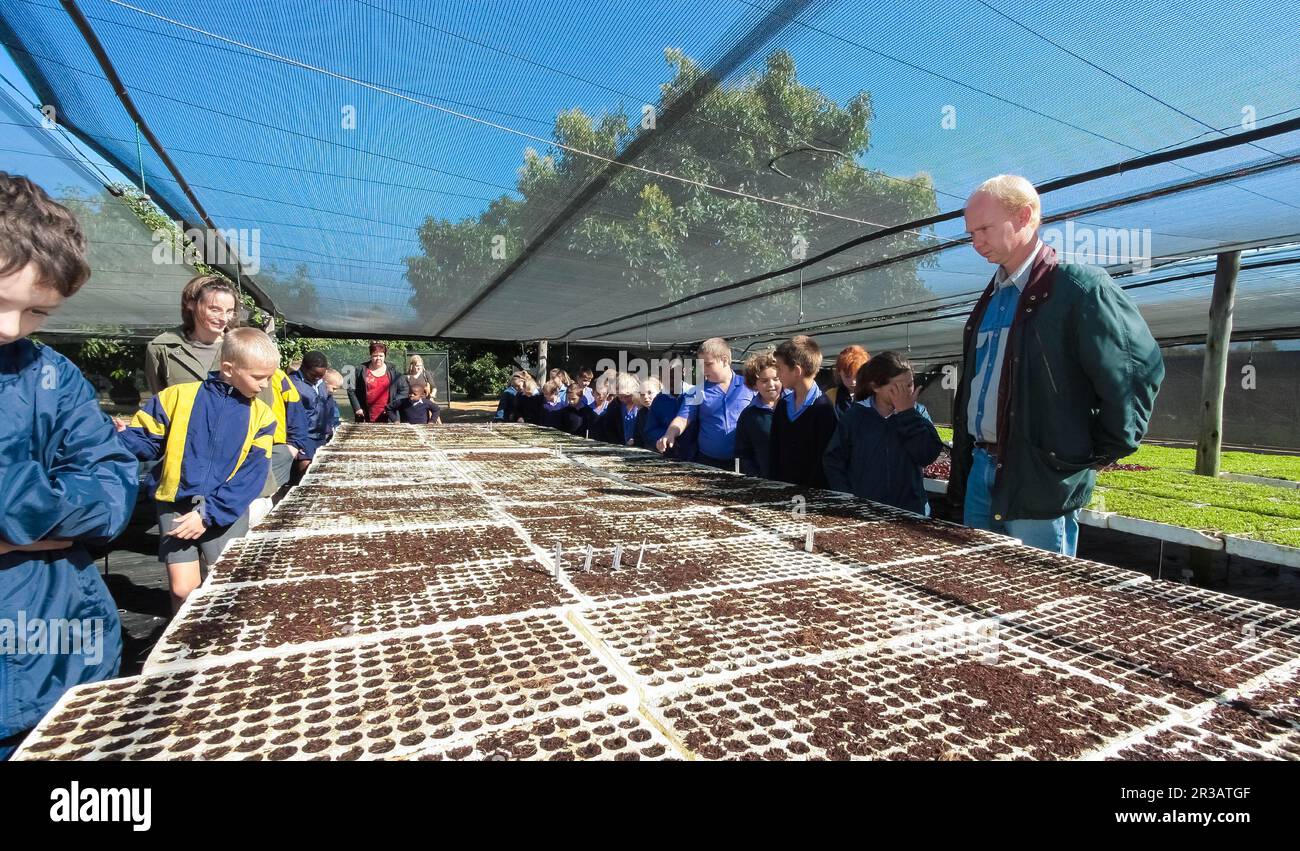 School children learning about agriculture and farming Stock Photo - Alamy