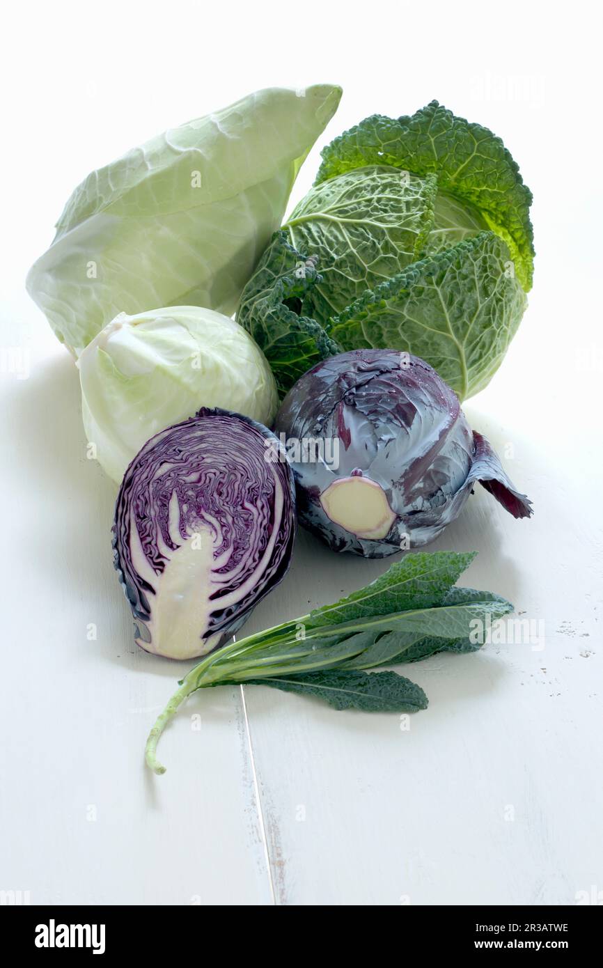 Different types of cabbage Stock Photo - Alamy