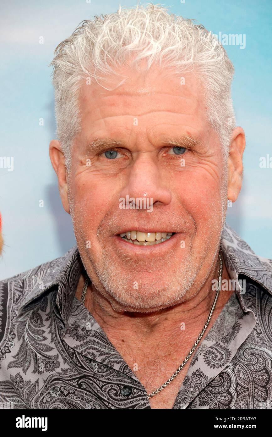 Los Angeles, Ca. 22nd May, 2023. Ron Perlman at the premiere of Netflix ...