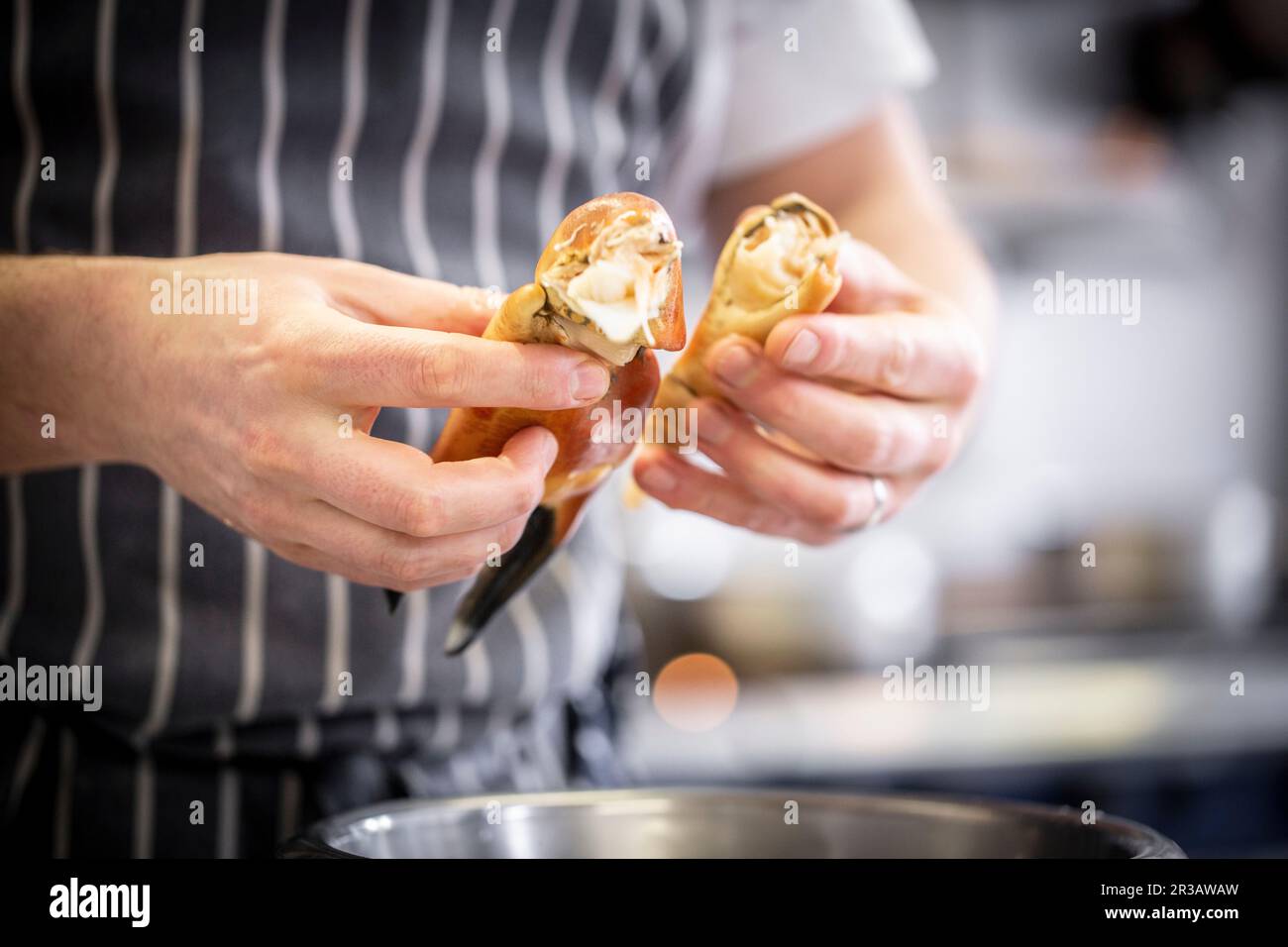 A crab being prepared Stock Photo - Alamy