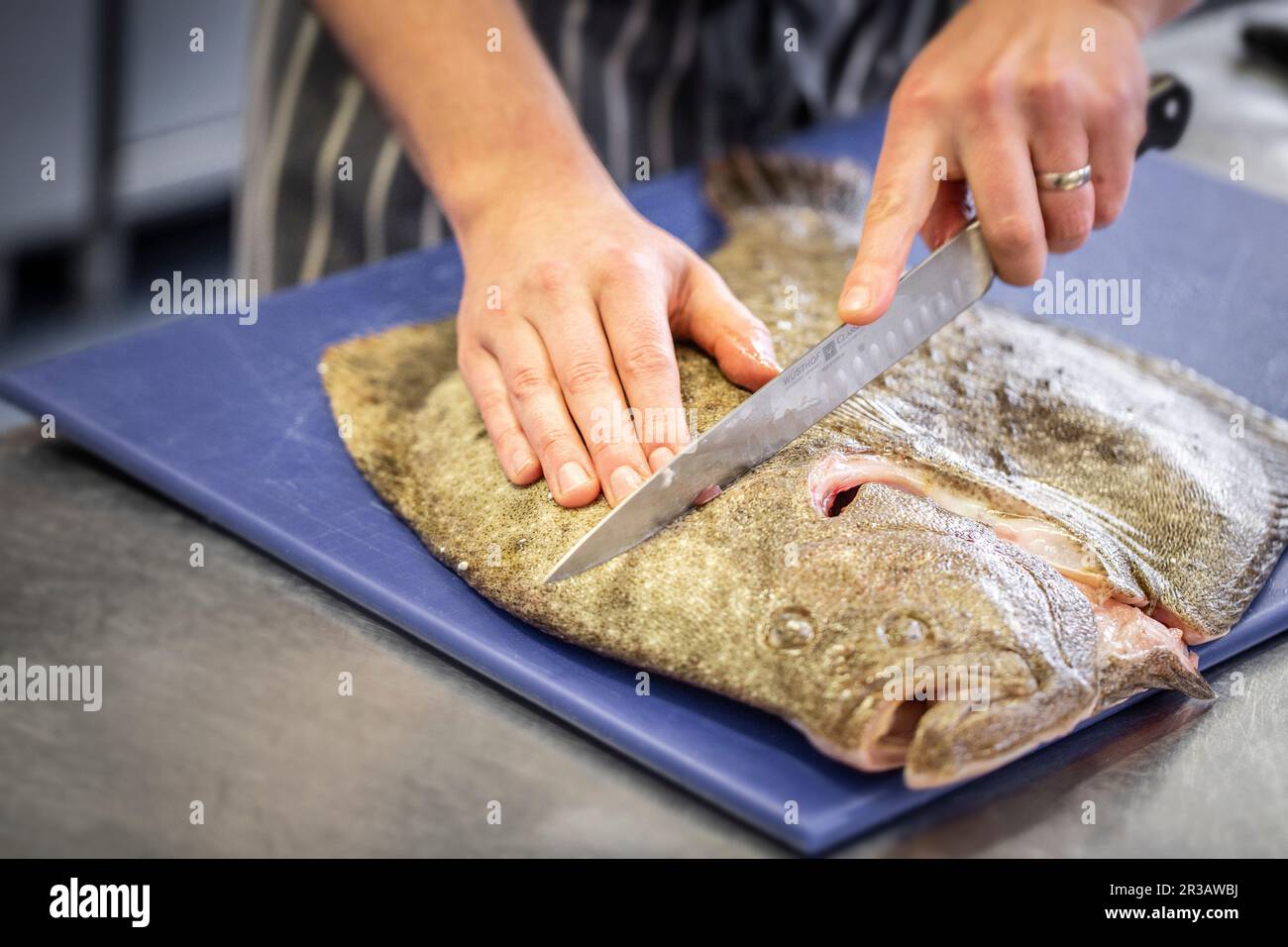 Filleting a fish step by step hi-res stock photography and images - Alamy