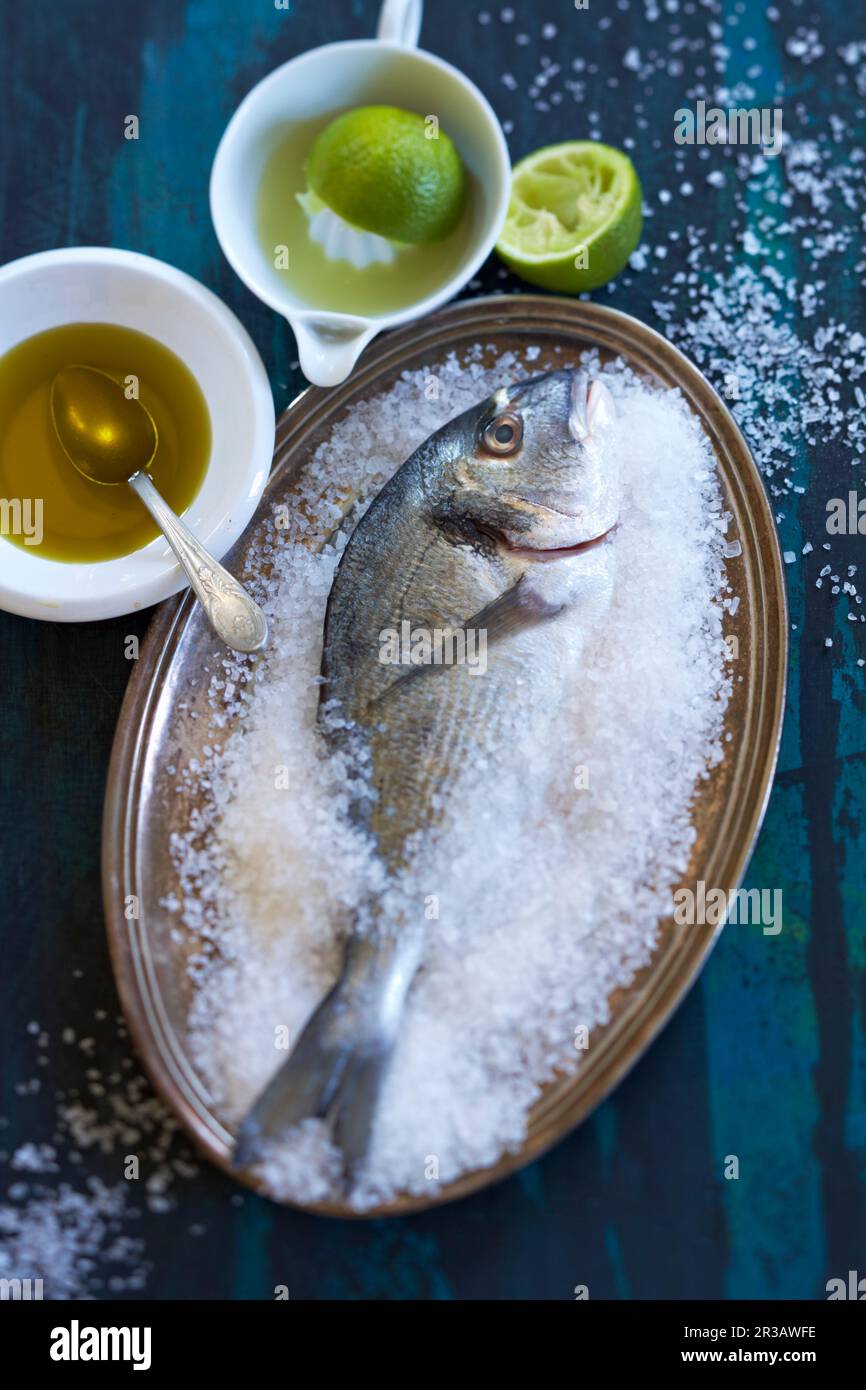 Sea salt nobody indoor top view hi-res stock photography and images - Alamy