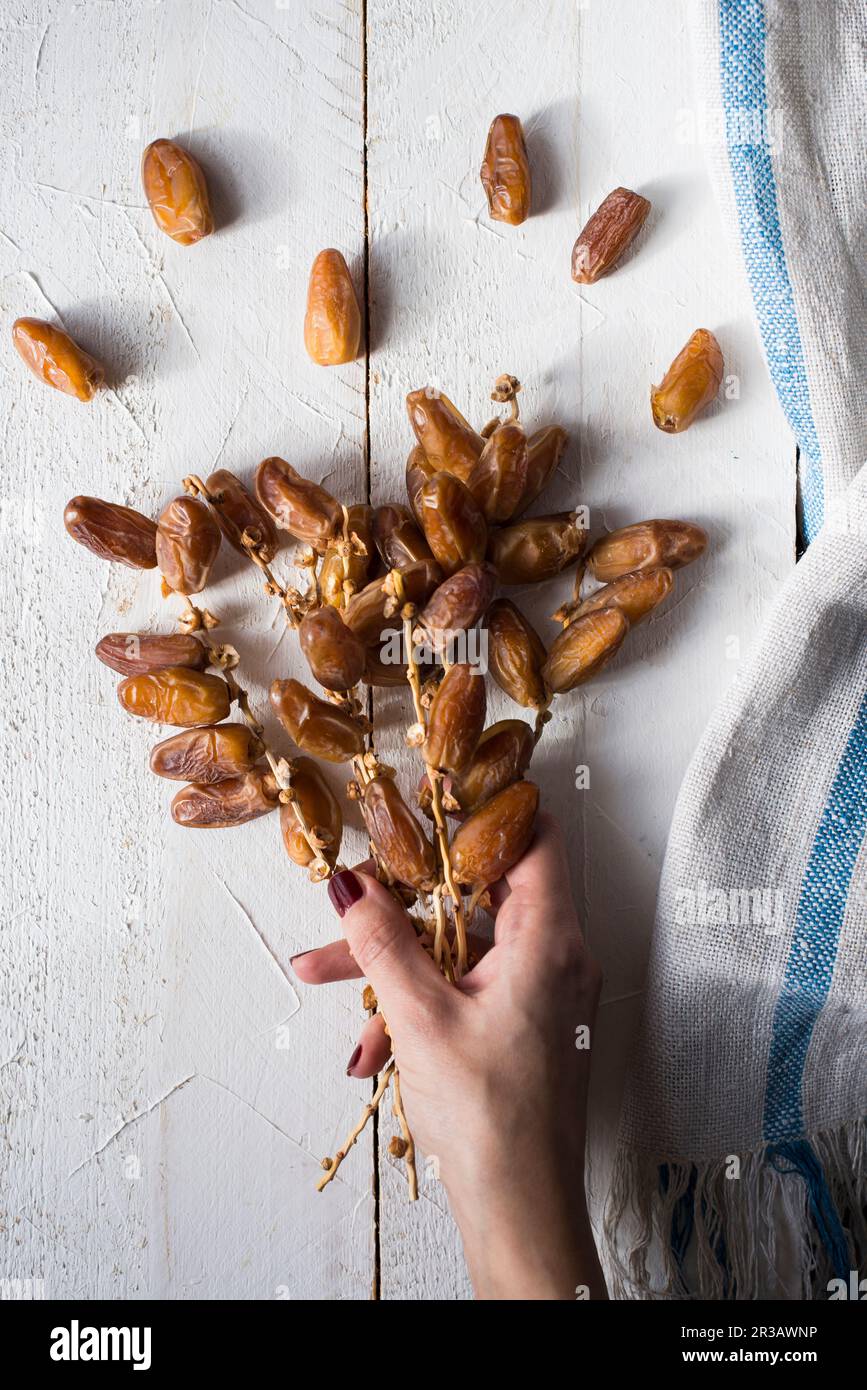 A hand holding date bunches Stock Photo - Alamy
