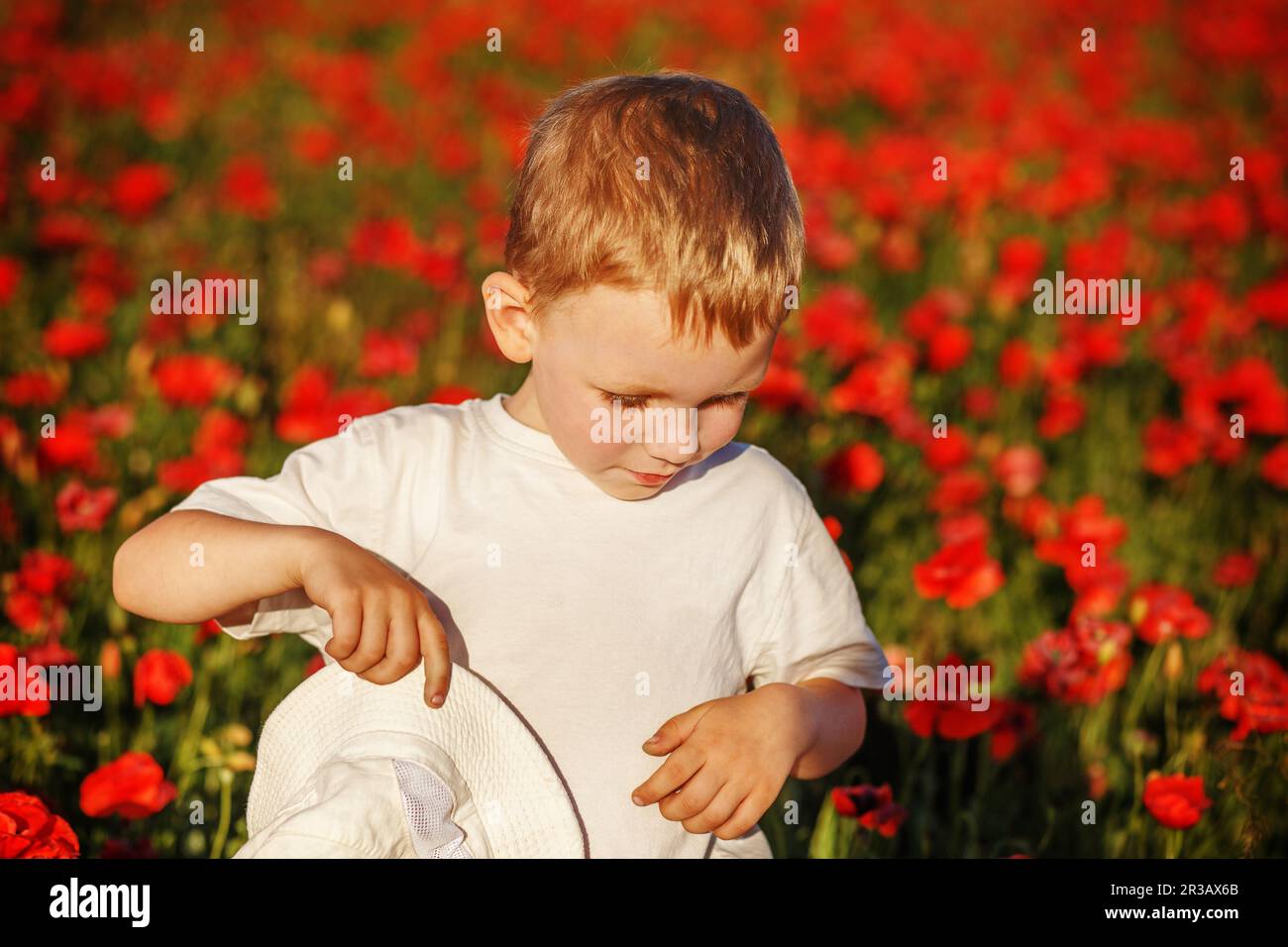 Cute little boy with poppy flower on poppy field on hot summer day ...
