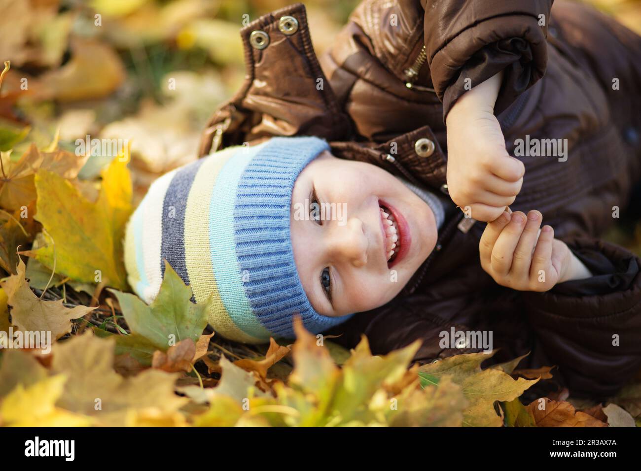 Portrait of a cheerful little boy wallow in fall foliage. Smiling funny ...
