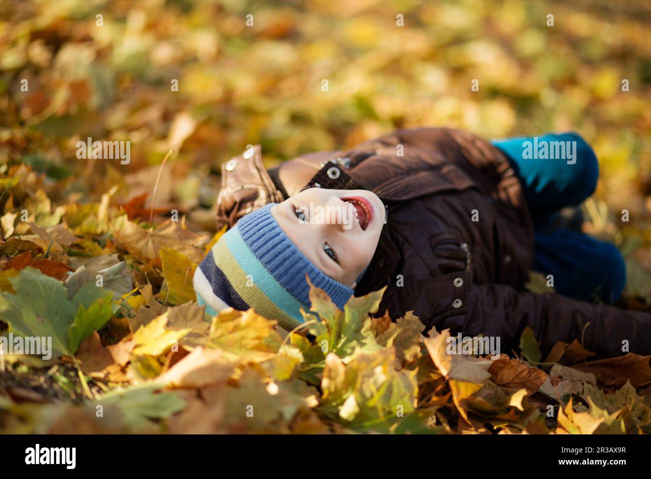 Portrait of a cheerful little boy wallow in fall foliage. Smiling funny ...