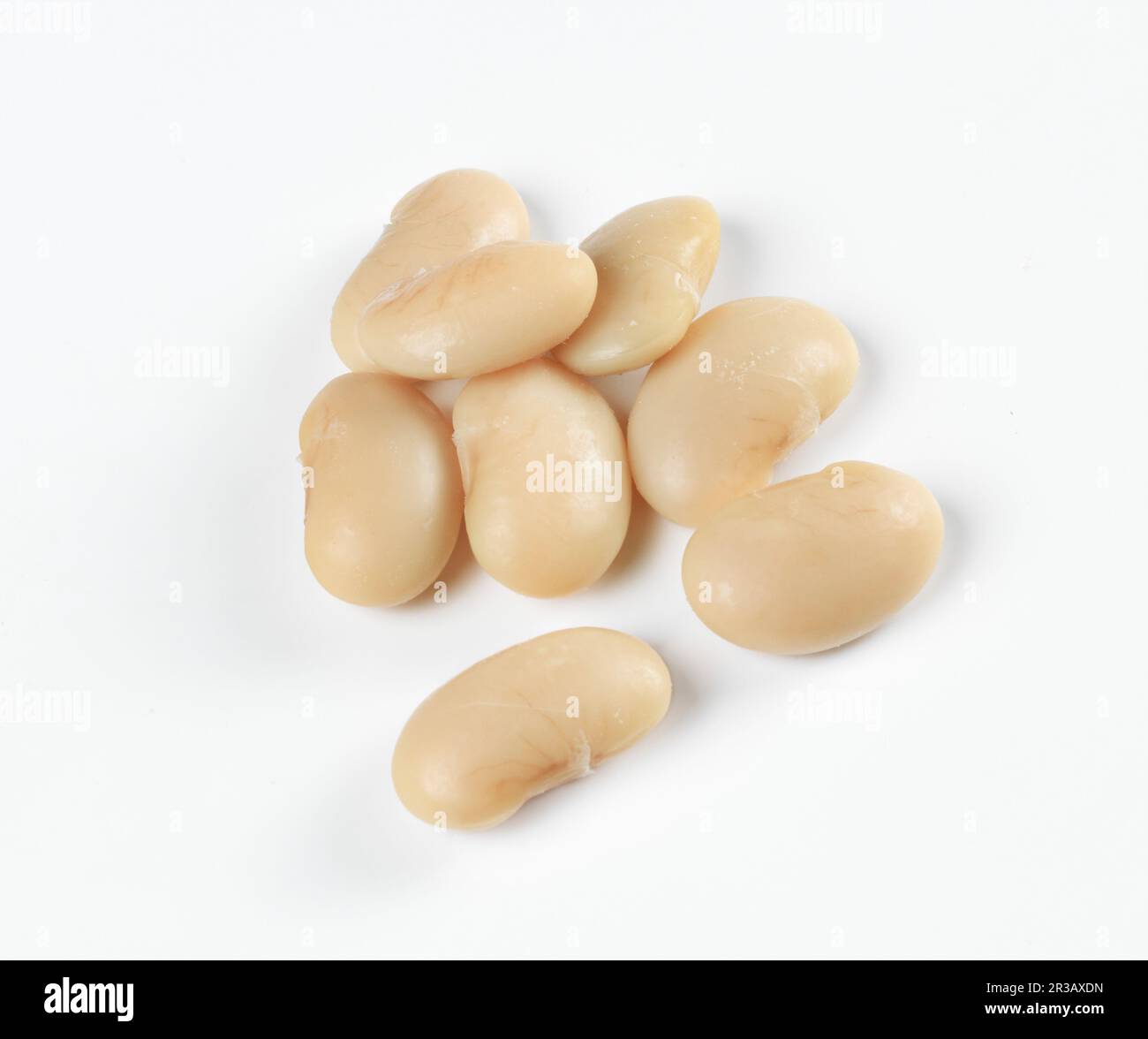 Bean type Cut Out Stock Images & Pictures - Alamy