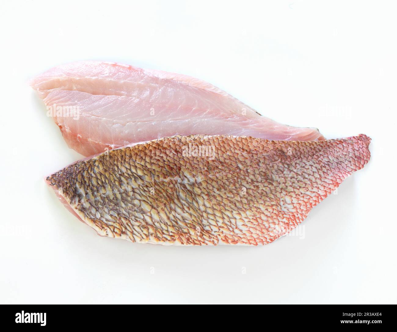 Two raw red mullet fillets on a white background Stock Photo - Alamy