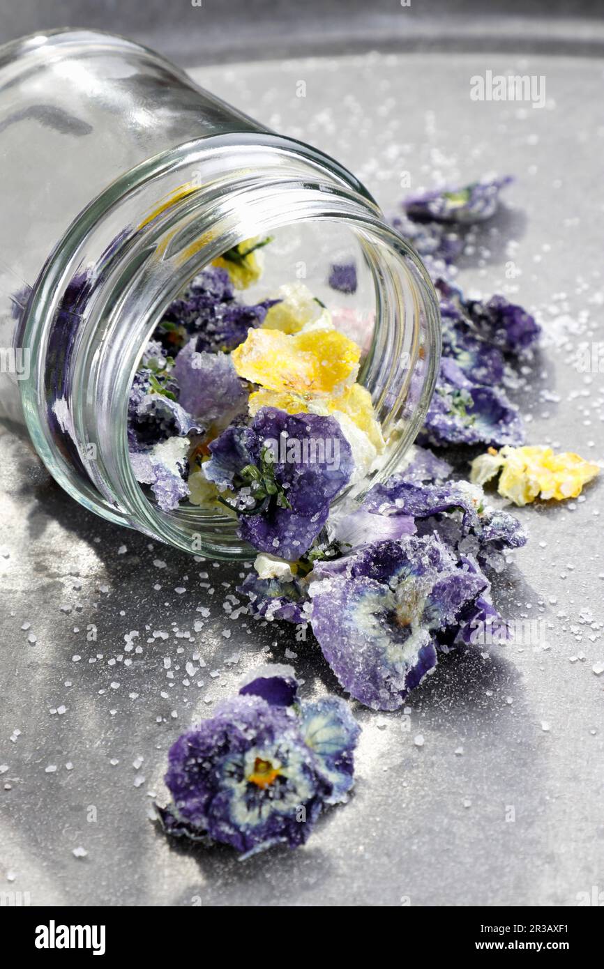 Crystallised flower hi-res stock photography and images - Alamy
