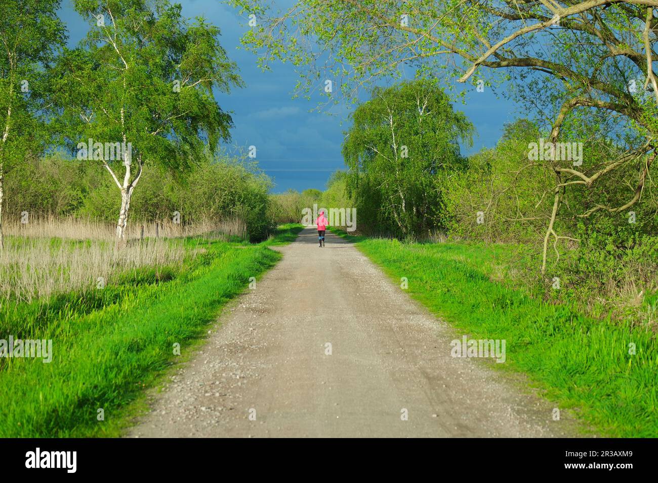 See through belt hi-res stock photography and images - Alamy