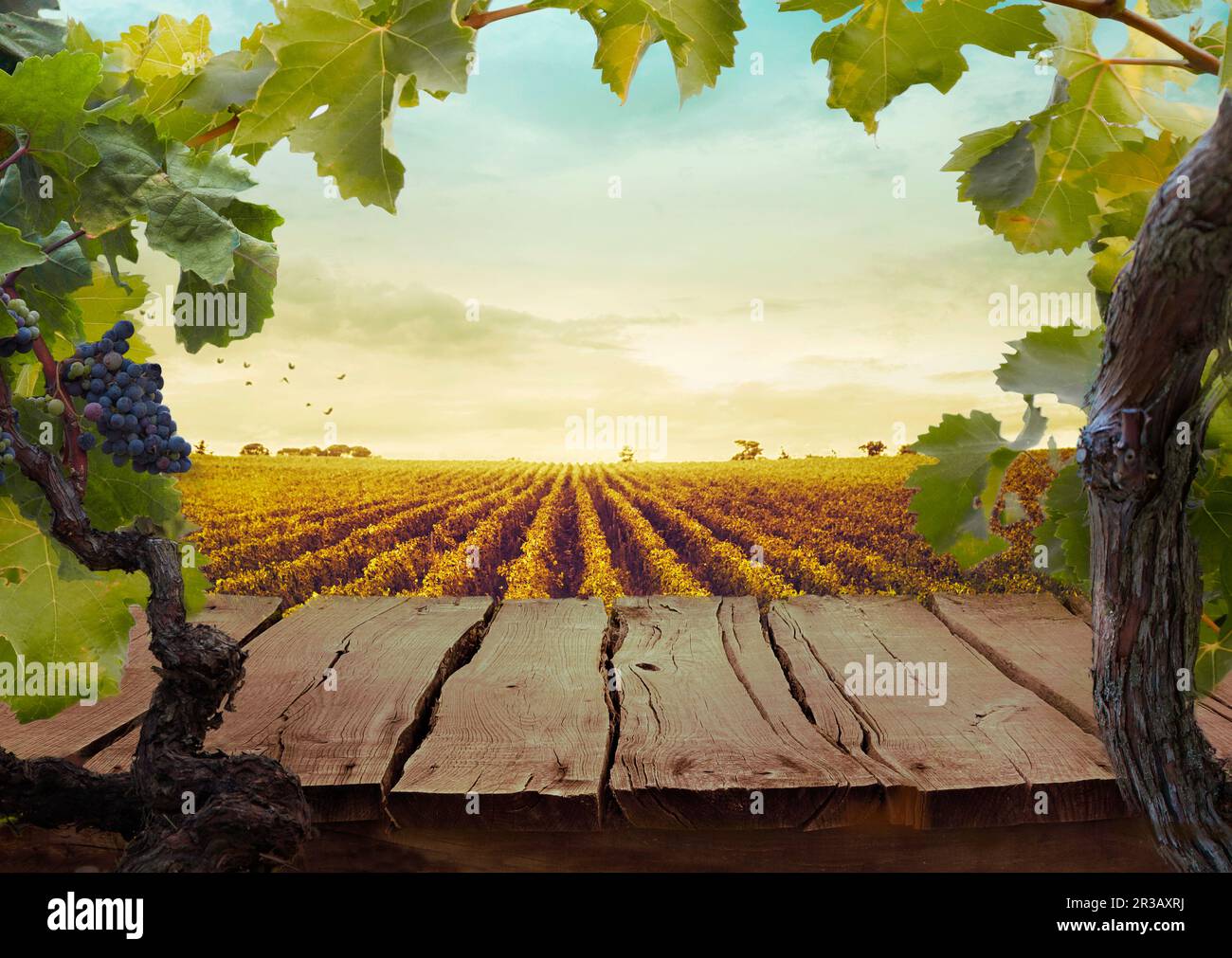 Wooden table. Spring design with vineyard and empty display. Space for ...