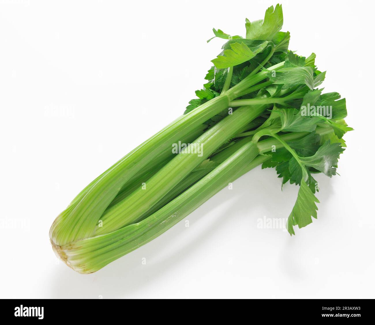 A fresh celery stalk on a white background Stock Photo - Alamy